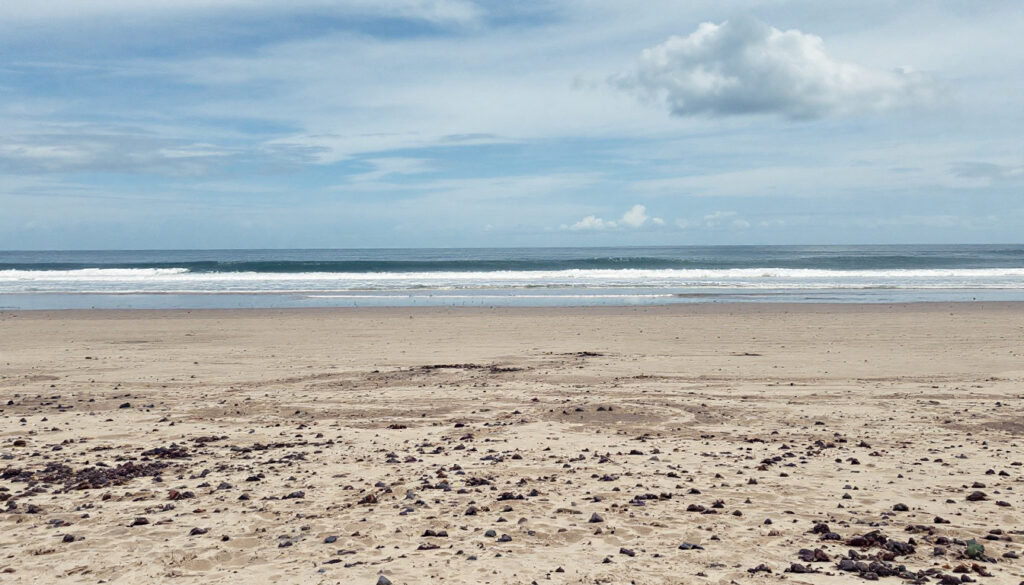 Open Droids conçoit des robots manipulateurs mobiles à bras unique et à ...